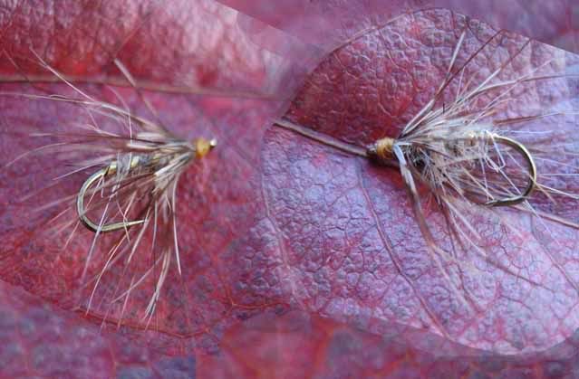 Maartswap: March Brown variatie swap (alweer spiders)